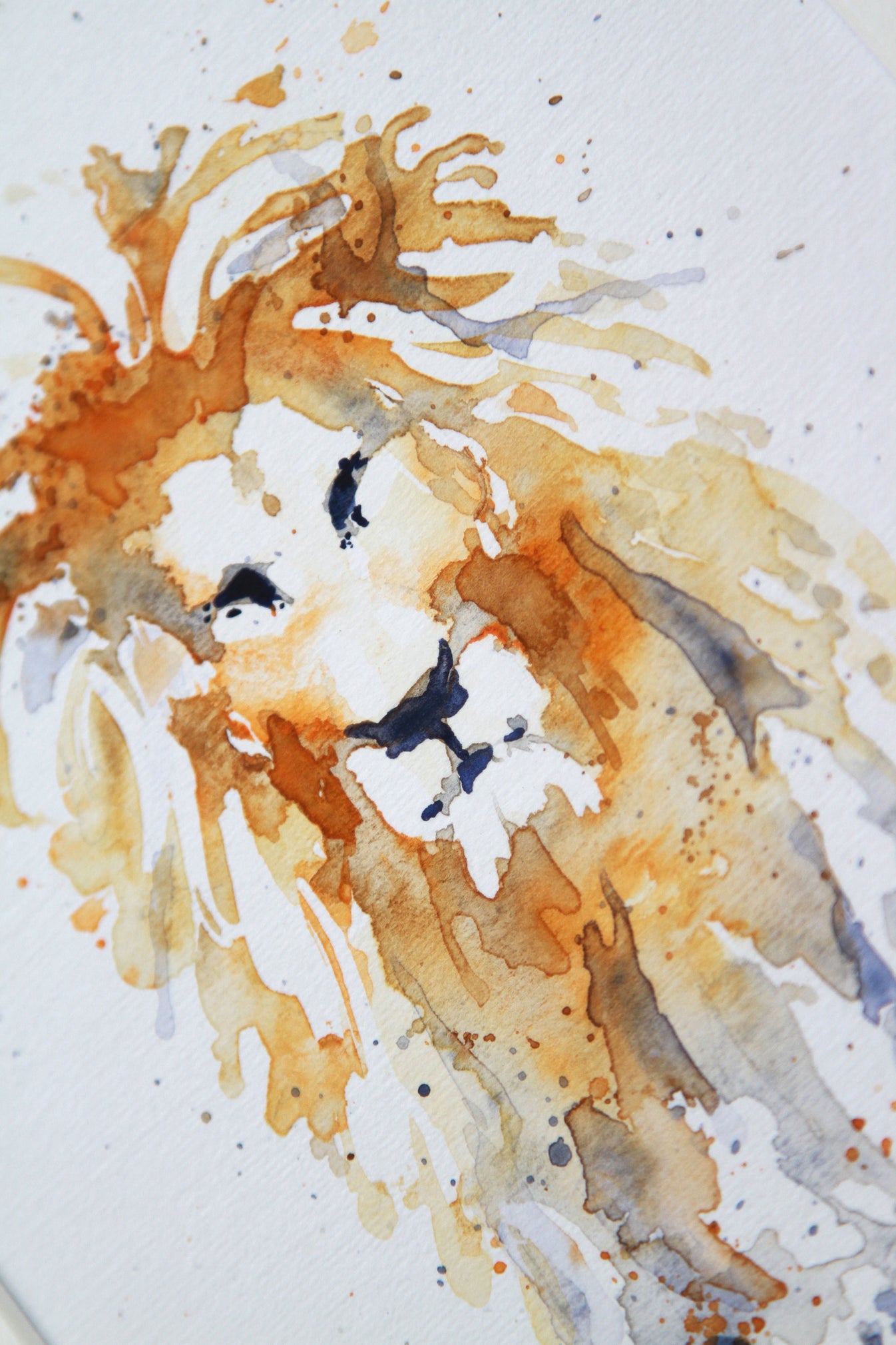 Lion (number One) watercolour – Jill Temporal Fine Art